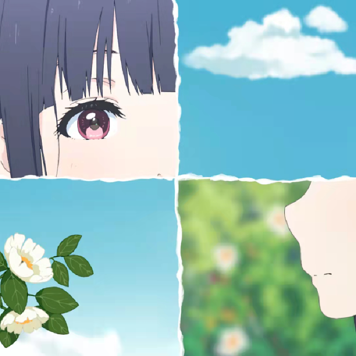 Blog - Zejia LIN (林泽佳)